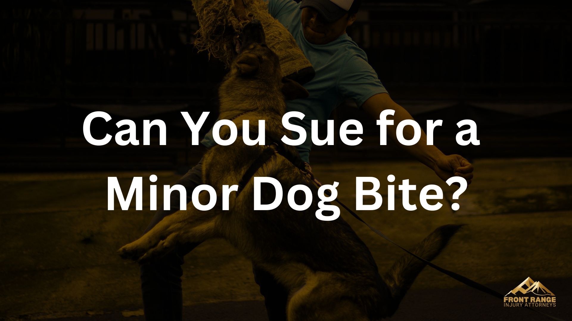 Can You Sue for a Minor Dog Bite? - Front Range Injury Attorneys ...